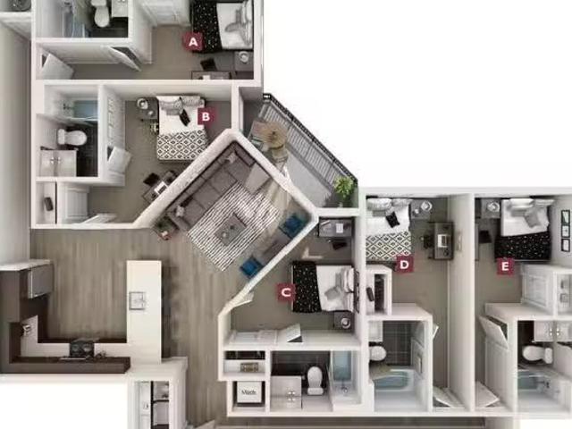 Room for rent in Fort Collins