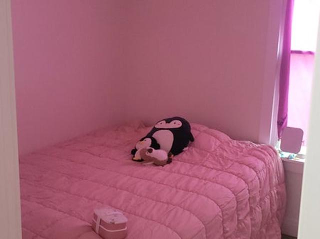 Room For Rent in Irving Park Chicago $900