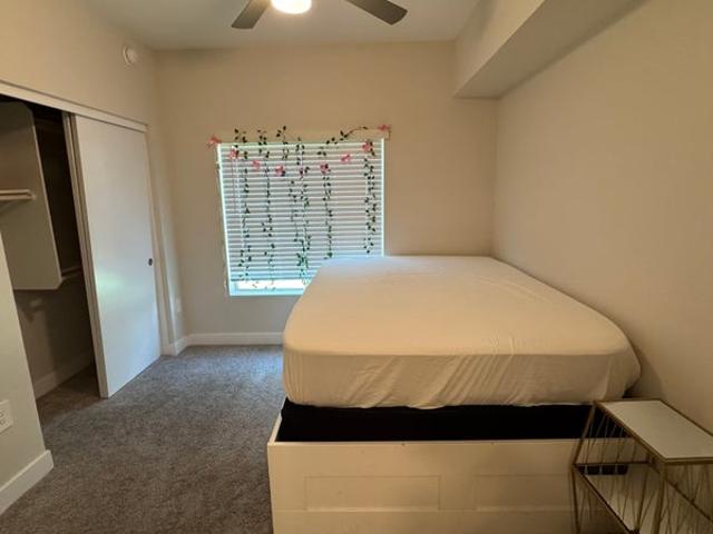Room for rent in Peoria