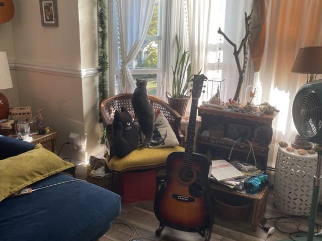 Room for rent in second floor 2br house Amesbury