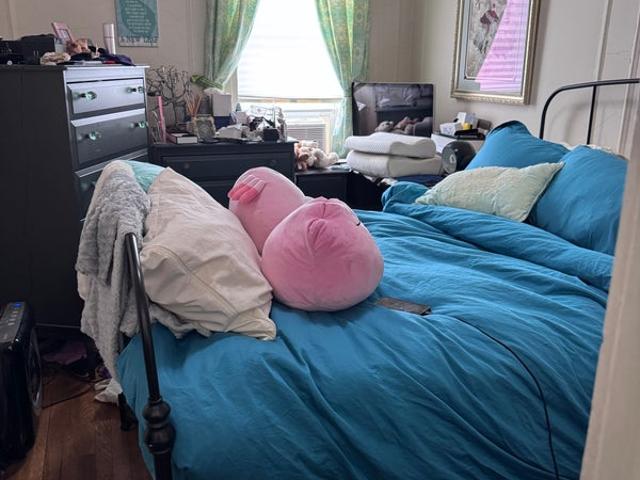 Room for Rent in Southern Astoria $1200
