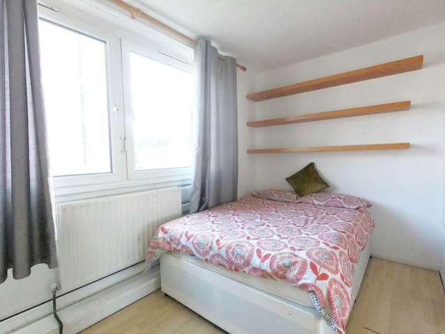 Room for rent in 3 bedroom apartment in London