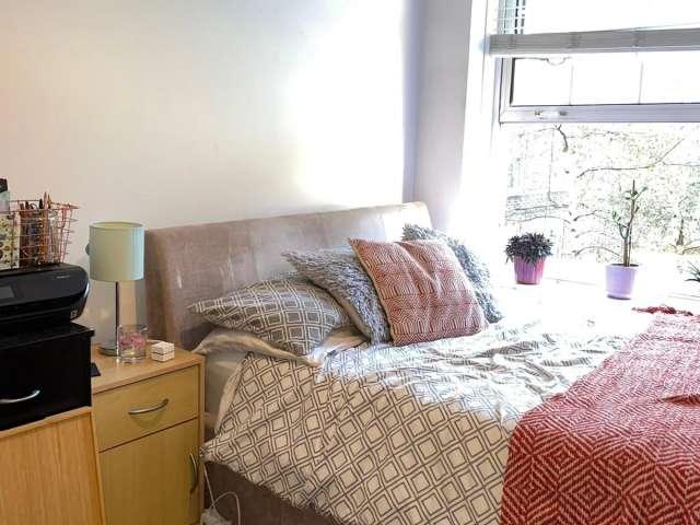 Room for rent in 4 bedroom apartment in London