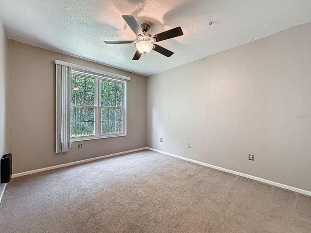 Room for Rent Tampa Palms