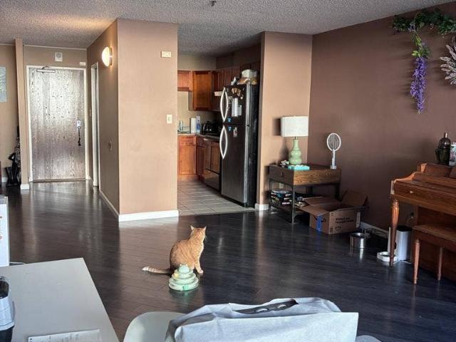 Room for rent w/private bath