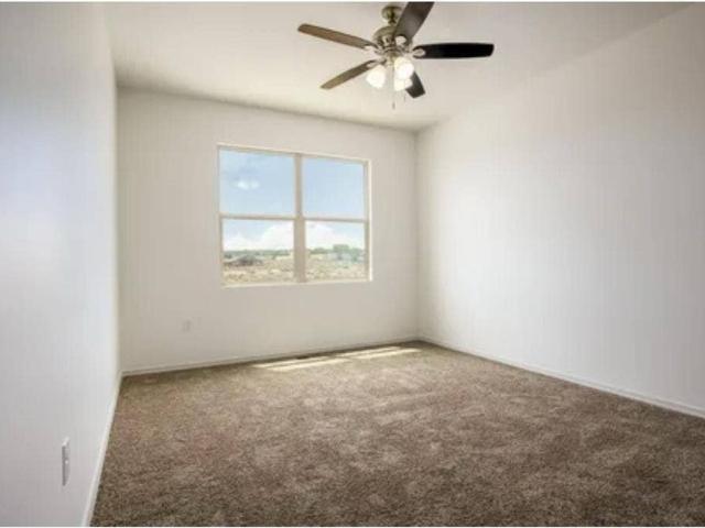 Room for rent!