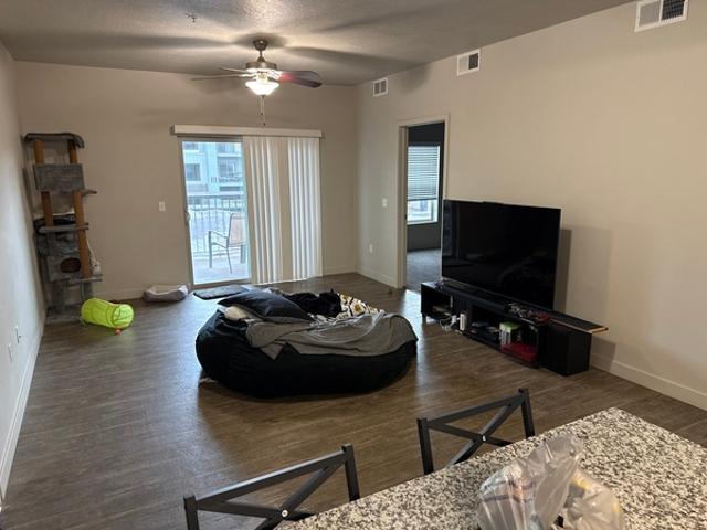 Room for rent