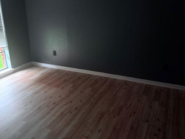 Room for rent!