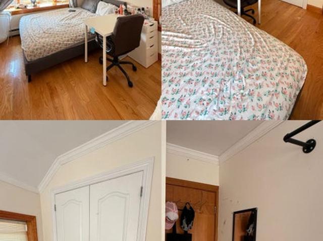 Room for rent!