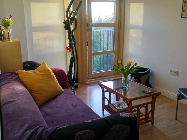 Room in a Shared Flat, Anson Road, M14