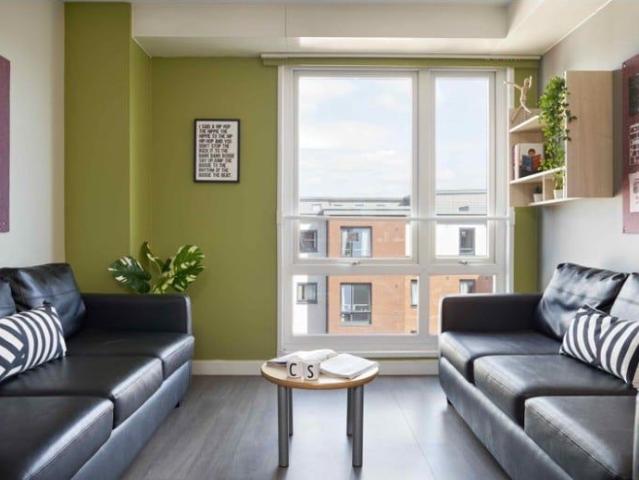 Room in a Shared Flat, Alma Street, S3