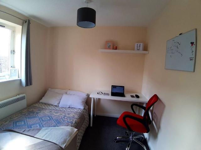 Room in a Shared Flat, Grovepark Street, G20