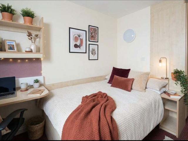 Room in a Shared Flat, Edward Street, S3