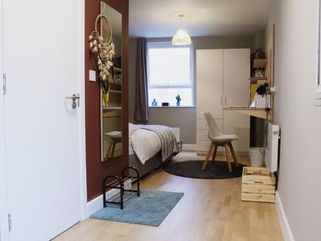 Room in a Shared Flat, Fitzalan Square, S1