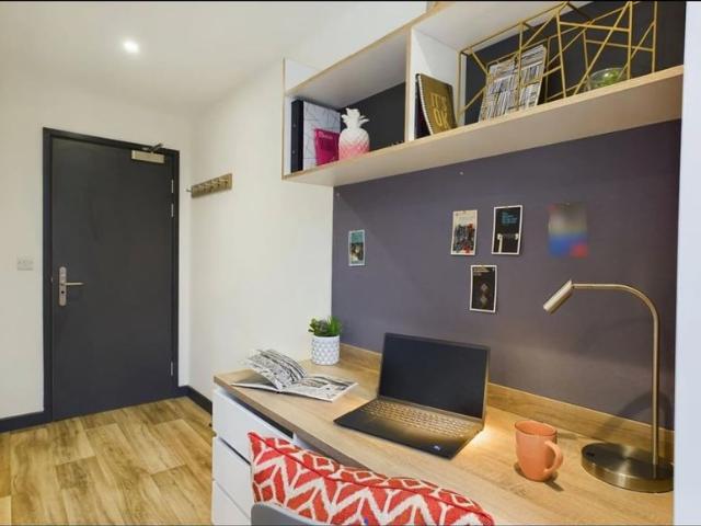Room in a Shared Flat, Stoney Stanton Road, CV1