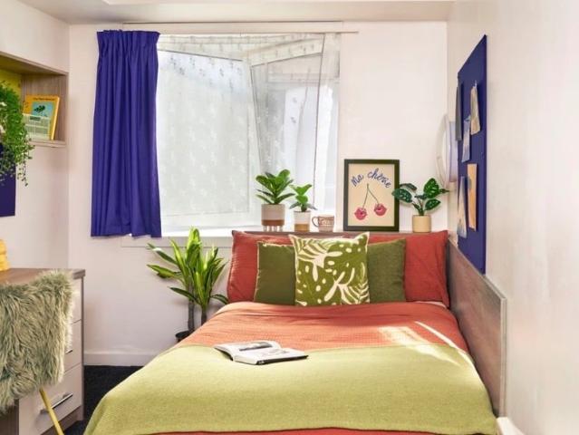 Room in a Shared Flat, Queens Road, CV1