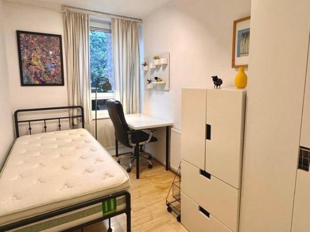 Room in a Shared Flat, Whitethorn Street, E3
