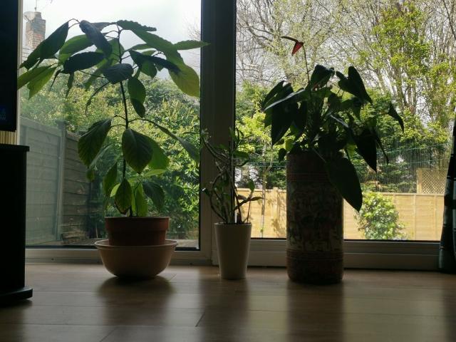 Room in a Shared House, Primley Park Lane, LS17