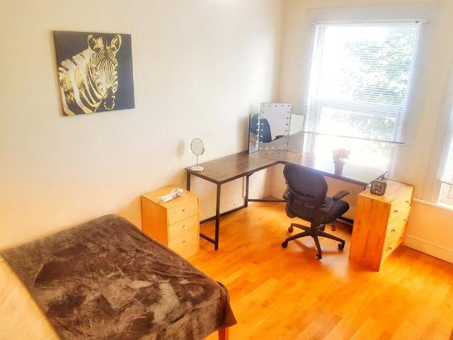 Room in a Shared House, Solway, N22