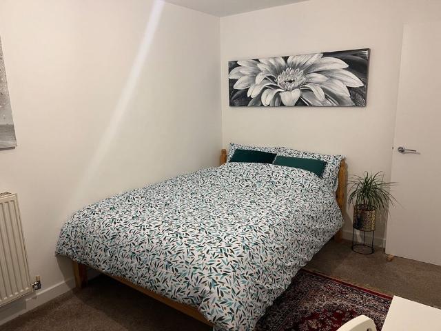 Room in a Shared House, X House, E14