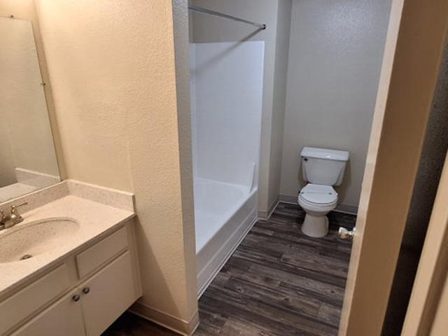 Room in Apartment Available