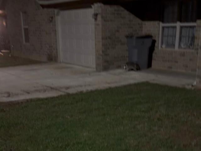 Room in Apartment for Rent Starting 8/1. Paragould