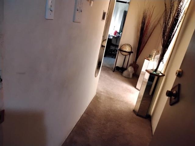 Room in apt building with elevator
