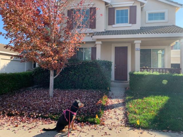 Room in Elk Grove/shared bathroom 900/ utilities