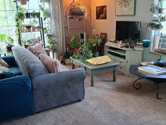 Room in established 3 br apartment!