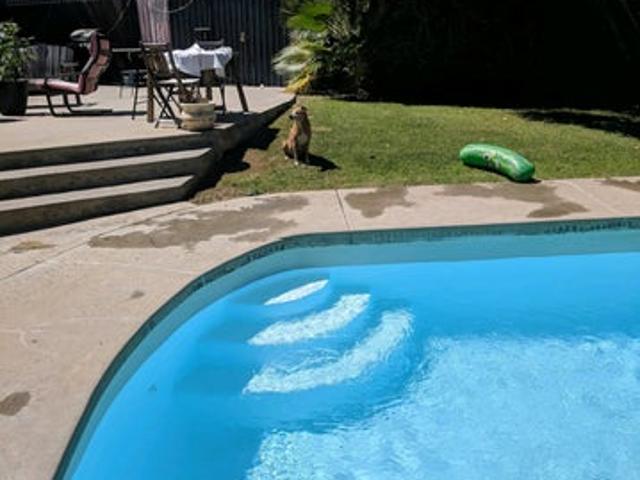 Room in house with pool in Silverlake