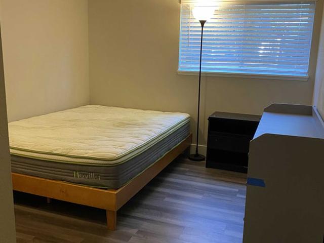 Room in Luxury Apartment