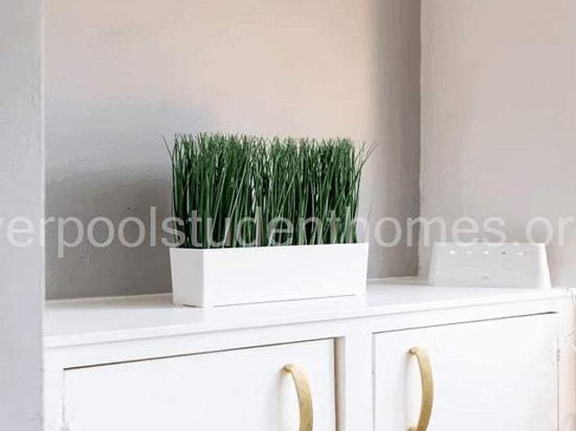 Room in Liverpool