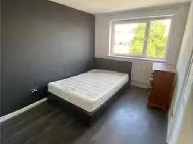 Room in shared 4 bedroom flat for rent in London