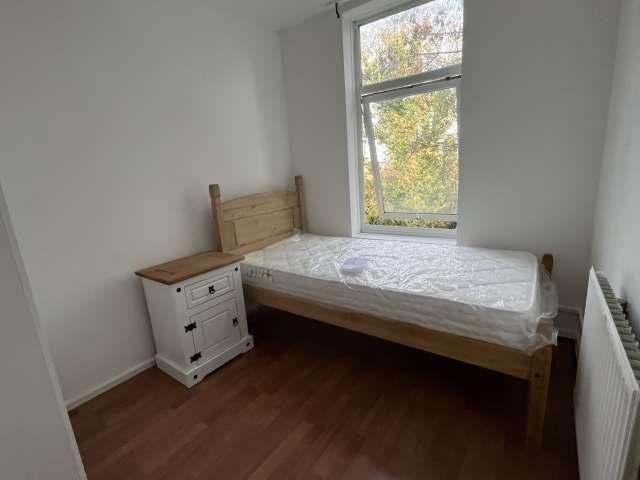 Room in shared apartment in London