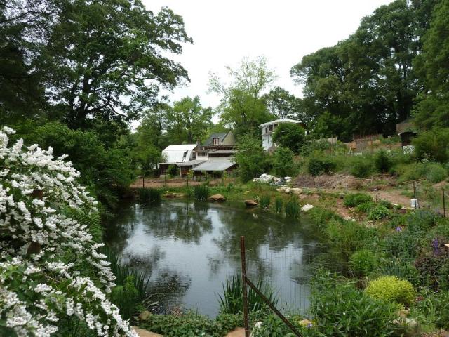 Room in unique urban garden oasis!