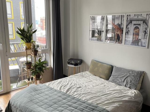Room in 2B Apt, Bed Stuy/Bushwick Border