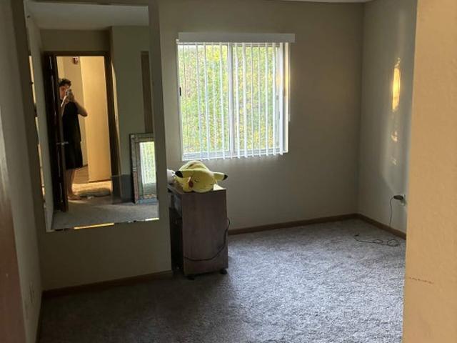 Room to rent in Minnetonka/Hopkins