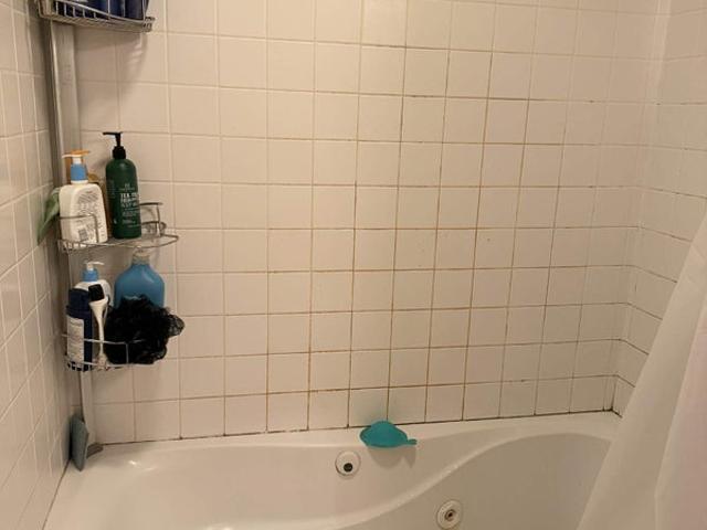 Room to Rent Shared Bath