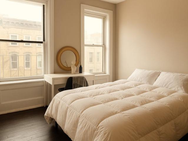 Room Williamsburg 2BR 1BA All Utilities Included