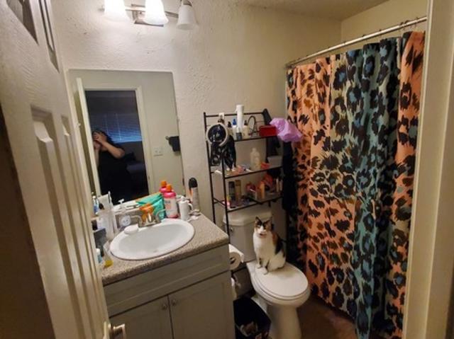 Room with private bathroom available in Decatur