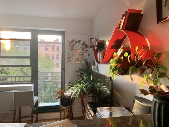 Room with private bathroom Central Harlem
