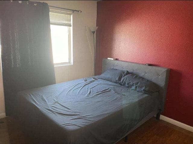Roomate needed