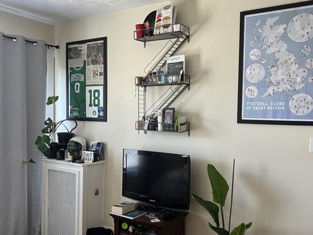 Roomate Needed for 221 Harvard St. Apt#28