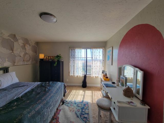 Roomate Needed Spacious Apartment