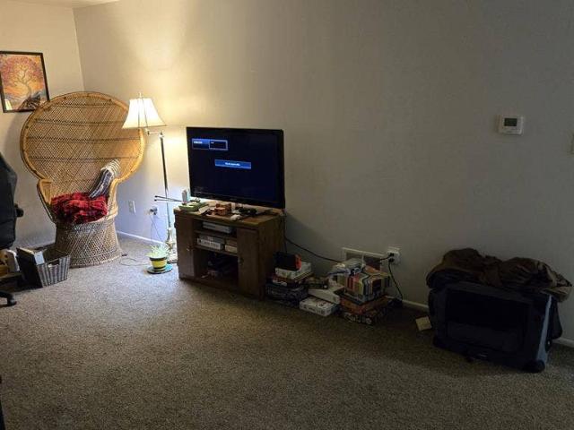 Roomate for large apartment