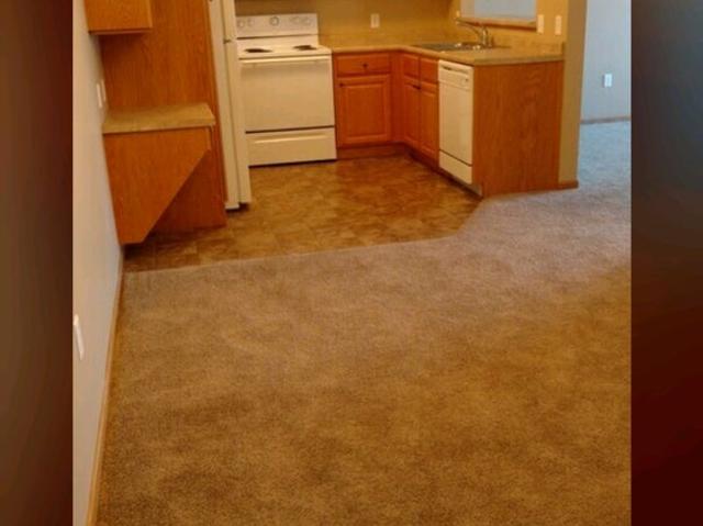 Roomate wanted!