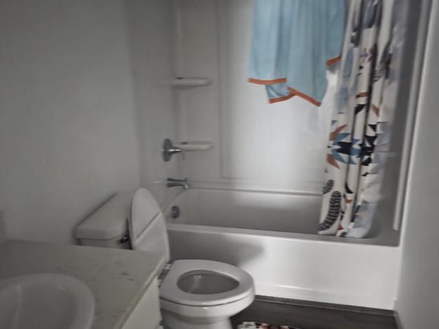room/bathroom for rent $800