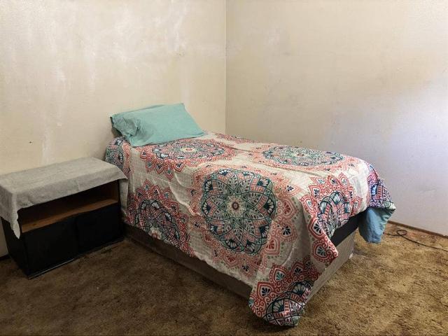 Roommate