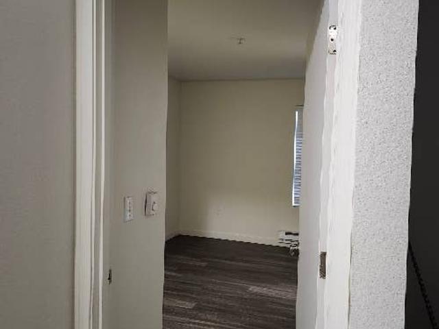 Roommate Wanted