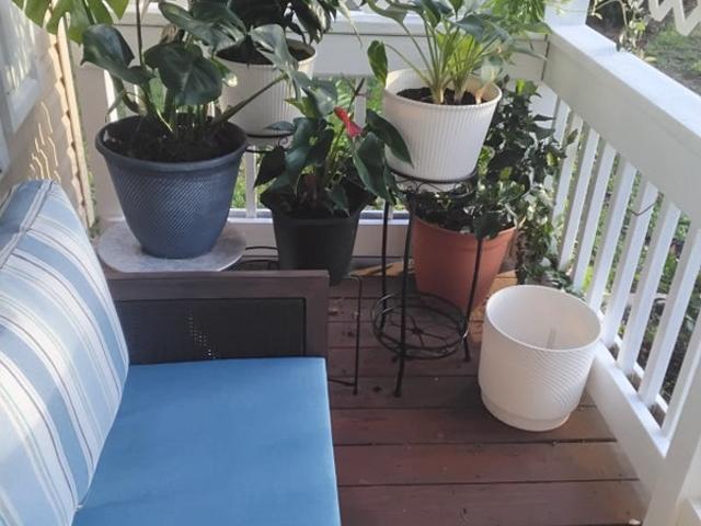 ROOMMATE WANTED